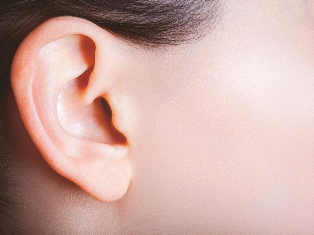 Sonhar com Orelha - Sonhos.info