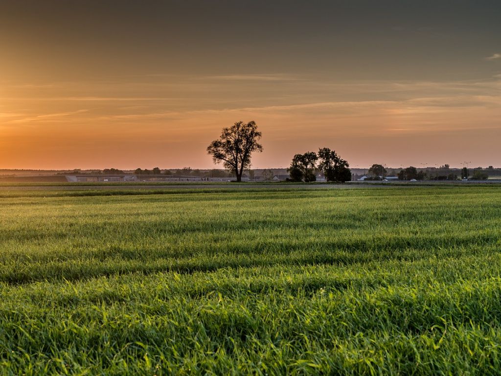 Sonhar com Planície - Sonhos.info